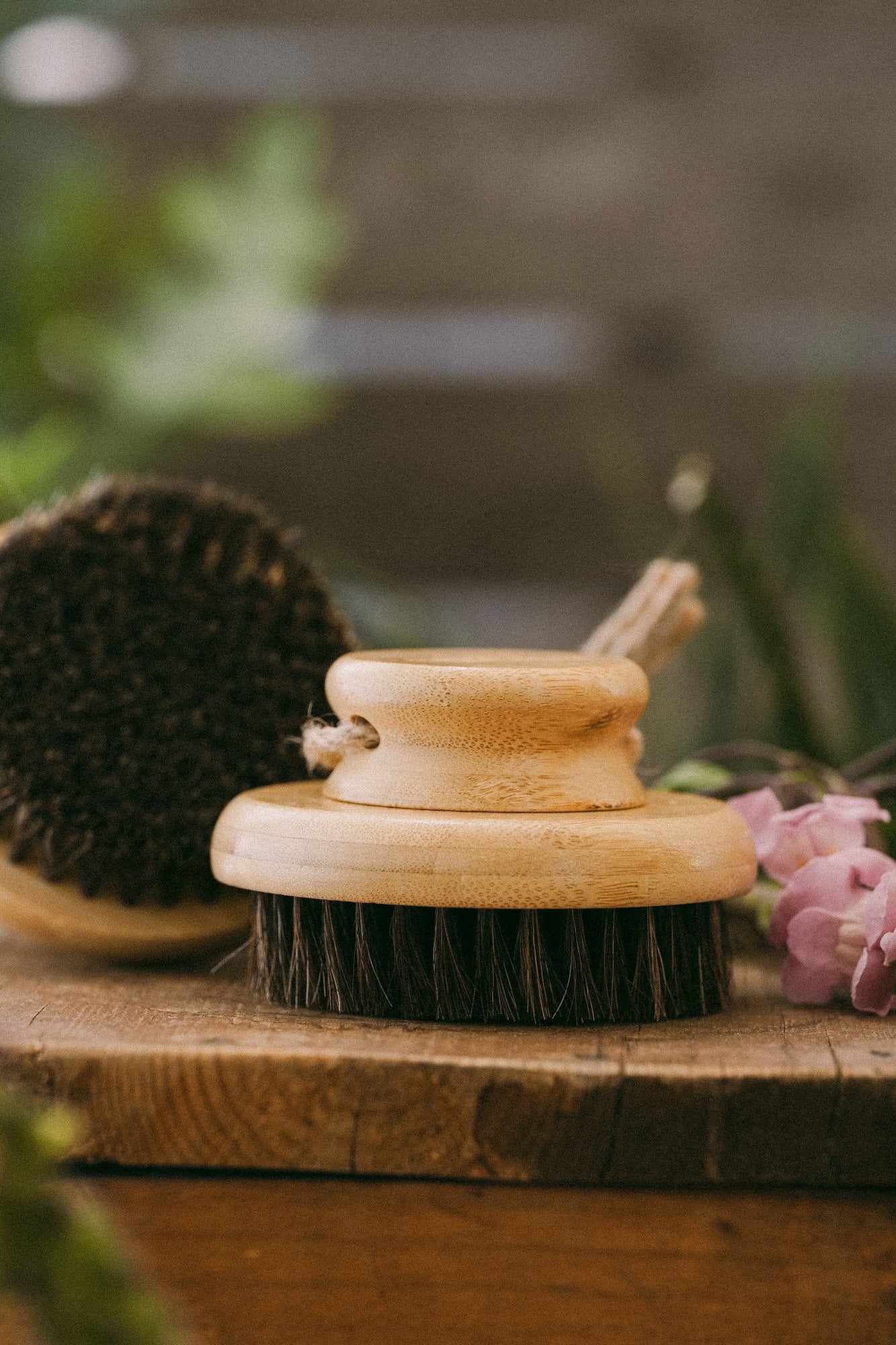 Pathway Dry Brush – ōNLē ORGANICS